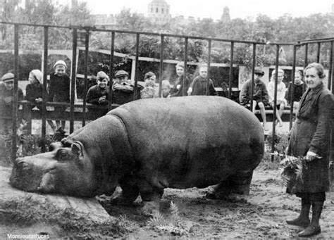 Monsieurastuces Parmi Les Nombreuses Histoires Déchirantes Et