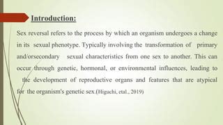 Sex Reversal Pdf