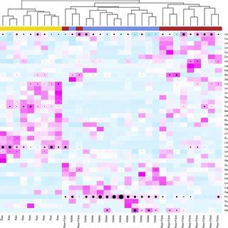 Heat Map Showing Hierarchical Clustering Of Bacterial Relative