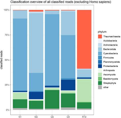 Stacked Barplot Of All Classified Reads On Phylum Level Excluding Homo