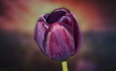 Intensecolor Hd 바탕 화면 배경 화면 무료 다운로드 Wallpaperbetter