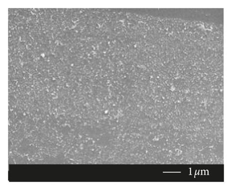 Sem Micrographs Of The Printed Films With A 1 Layer 10 000x B 2