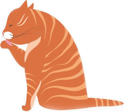 猫 盐都日报