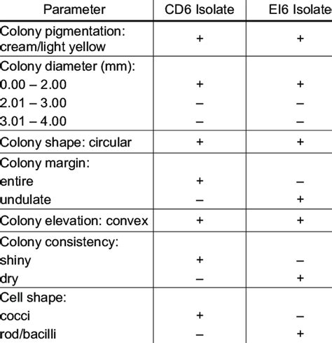 Phenotypic Characterization Of Siderophore Producing Bacteria Download Scientific Diagram