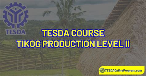 Tesda Tikog Production Level Ii Course Tesda Online Program