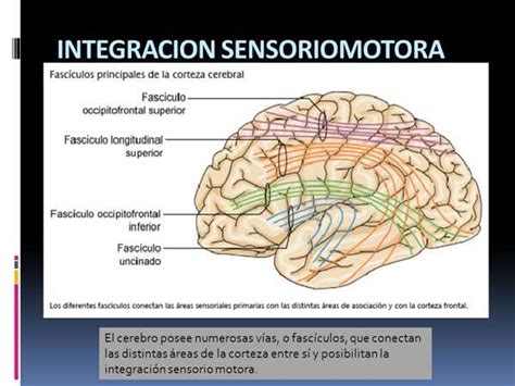 IntegraciÓn Motora