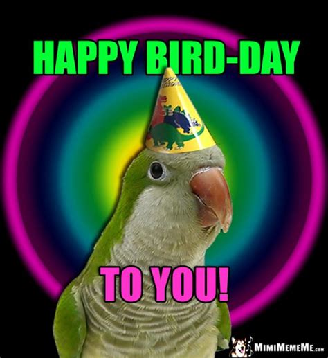 Happy Birthday B Memes Happy B Day Cool Your Jets Birthday Card