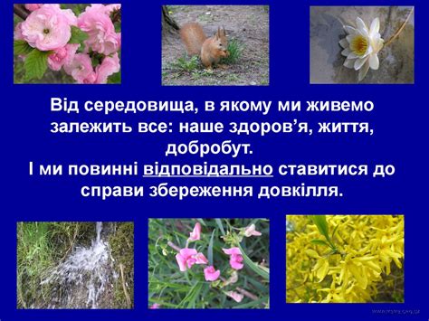 Екологічні проблеми України презентация онлайн