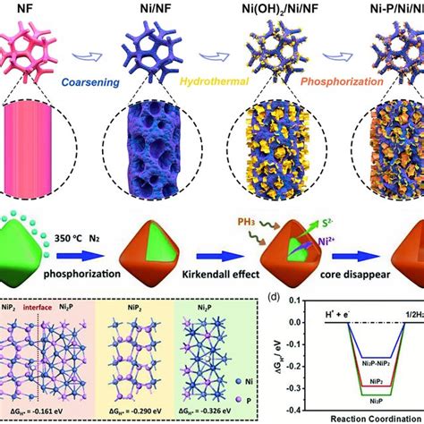 A Schematic Synthetic Procedure Toward Np‐ni3n B Tem Image Of The Download Scientific