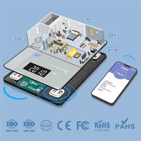 smart（iot） food scale lkk engineering