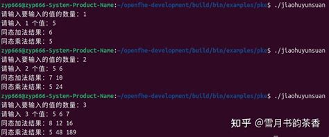 Openfhe库学习第二天：可主动输入计算代码详解 知乎