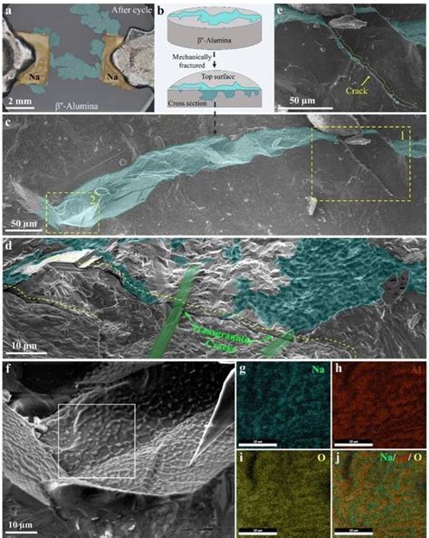 黄建宇最新ees：全固态钠电池中的枝晶生长动力学！ 知乎