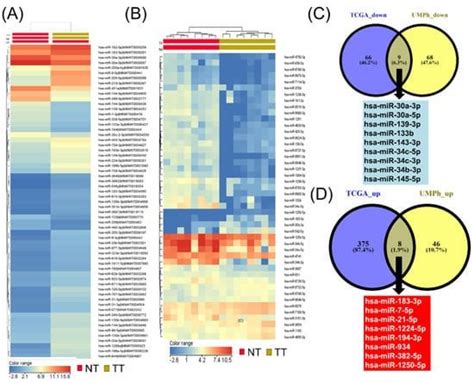 identification of potential microrna panels for male non small cell