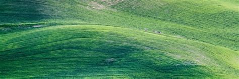 Ring Avulsion Causes Symptoms And Treatment Guide