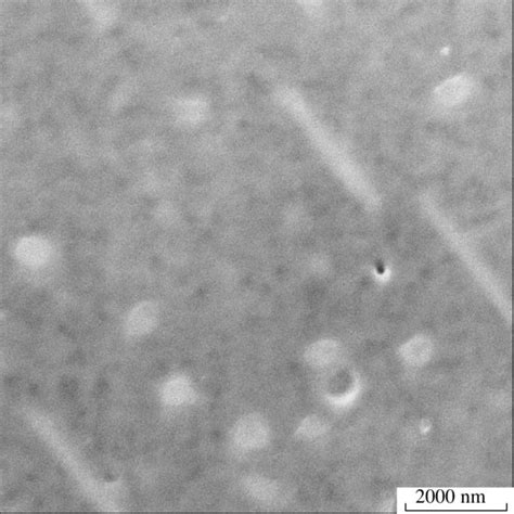 Surface Sem Micrograph Of The Specimen Shown In Fig 6 Download