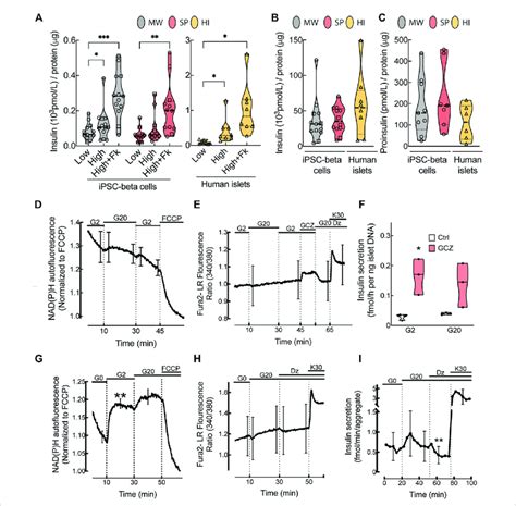In Vitro Function Of Human Ipsc Derived Beta Cells A Download