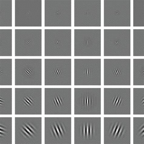 The Real Part Of The Gabor Filters At Five Scales And Eight Orientations Download Scientific