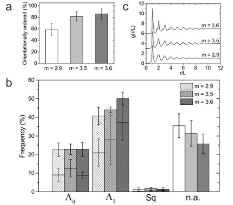 A Amount Of Orientationally Ordered Particles With 06 Observed