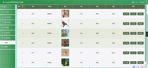Java基于java鸟类管理系统与实现 源码 mysql 文档 鸟类管理数据库 CSDN博客