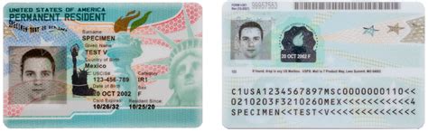 Uscis Releases New Designs Of Green Card And Ead Card To Increase