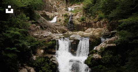 숲 한가운데에 있는 폭포 사진 Unsplash의 무료 땅 이미지 숲 한가운데에 있는 폭포 사진 Unsplash의 무료 땅 이미지