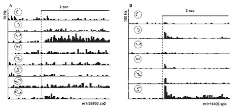Peri Stimulus Time Histograms Illustrate Selectivity Of Two Neurons To