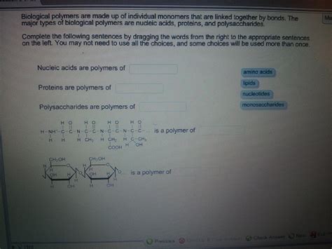 Solved Biological Polymers Are Made Up Of Individual