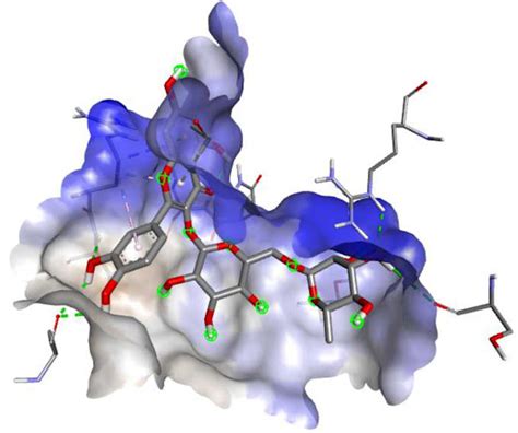 perform molecular docking and protein ligand interaction analysis by