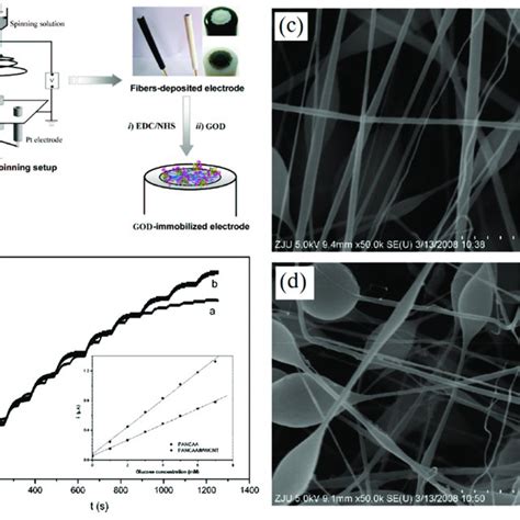 Schematic Diagram Of The Electrochemical Sensor Download Scientific Diagram