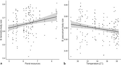 Body Size Variations Estimated By The Centroid Size Adimensional