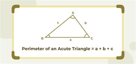 Acute Angled Triangle Geeksforgeeks