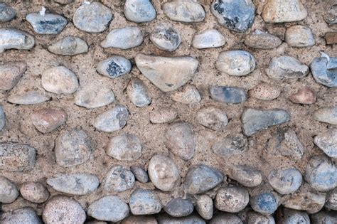 Texture Of Cobblestone Stones In A Concrete Wall Stock Image Image Of Wallpaper Floor 275880505