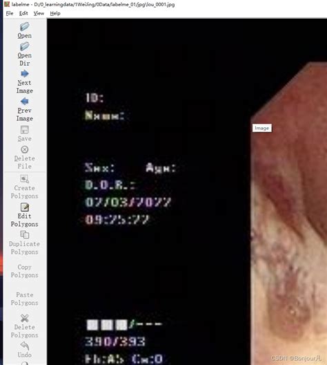 Labelme标注数据labelme自动标注 Csdn博客