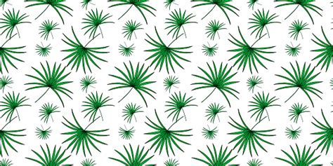 흰색 바탕에 녹색 야자수 가지가 있는 열대 이음매 없는 패턴 직물 포장지 표지 배경 화면 배경에 대한 벡터 패턴 0명에 대한