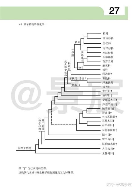 植物系统发生树及植物演化1 知乎