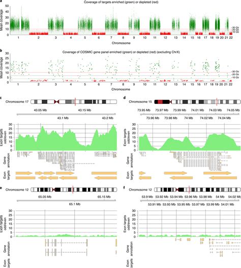 Half Exome Panel Targeted Sequencing A The Mean Coverage Across Each