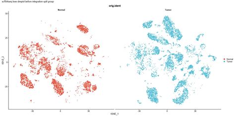 零代码进行单细胞数据全流程分析教程无代码单细胞测序数据分析 Csdn博客