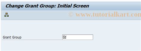 GM SETS GRANT SAP Tcode Change Grant Group GM SETS GRANT SAP Tcode Change Grant Group