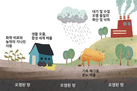 환경오염과 생태계 파괴 네이버 블로그