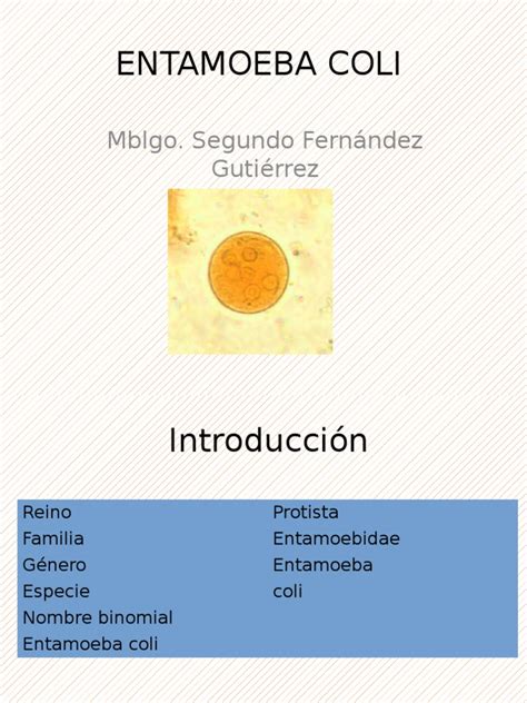 Entamoeba Coli Pdf Biología Bienestar