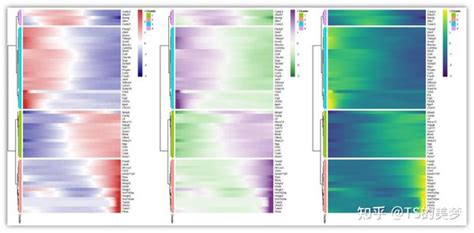 Ggplot修饰monocle2拟时热图：一众问题全部解决 知乎
