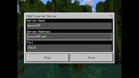 How To Join The Donut Smp Youtube