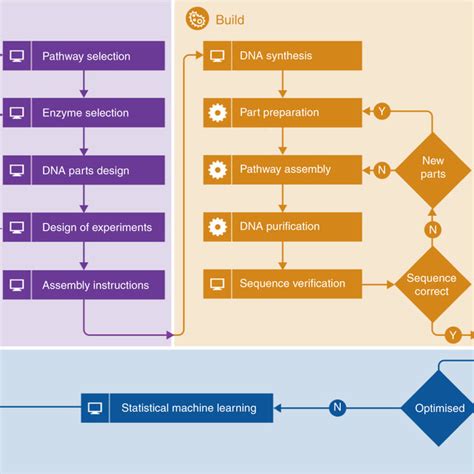 The Synbiochem Designbuildtestlearn Pipeline For Microbial Download Scientific Diagram
