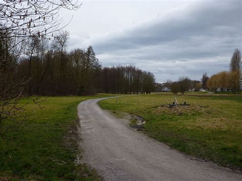 Johann Jakob Widmann Mein