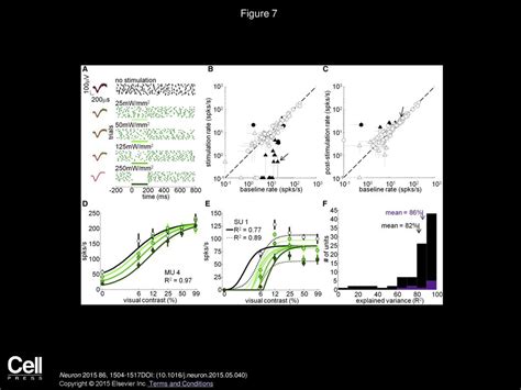 Optogenetic Activation Of Normalization In Alert Macaque Visual Cortex Ppt Download