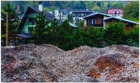 Storage 1 And Biomass Storage Distance From Civil Buildings Download Scientific Diagram