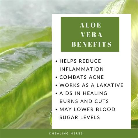 A V Gel Pure Aloe Vera Gel Heal Wounds Repair Skin Pure Aloe Vera Gel