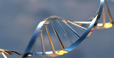 填补人类基因组空白！科学家完成中东人群基因组测序 腾讯新闻