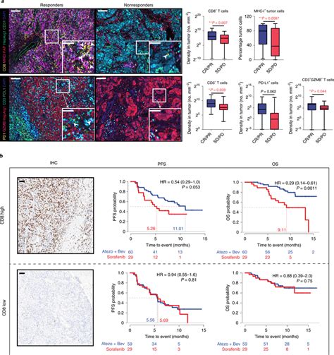 In Situ Validation Of Genomic Correlates Of Clinical Response To Download Scientific Diagram