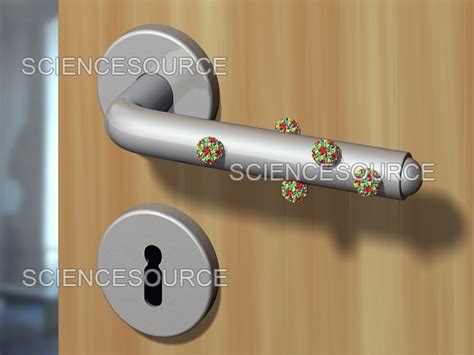 Norwalk Virus Contamination Artwork Stock Image Science Source Images